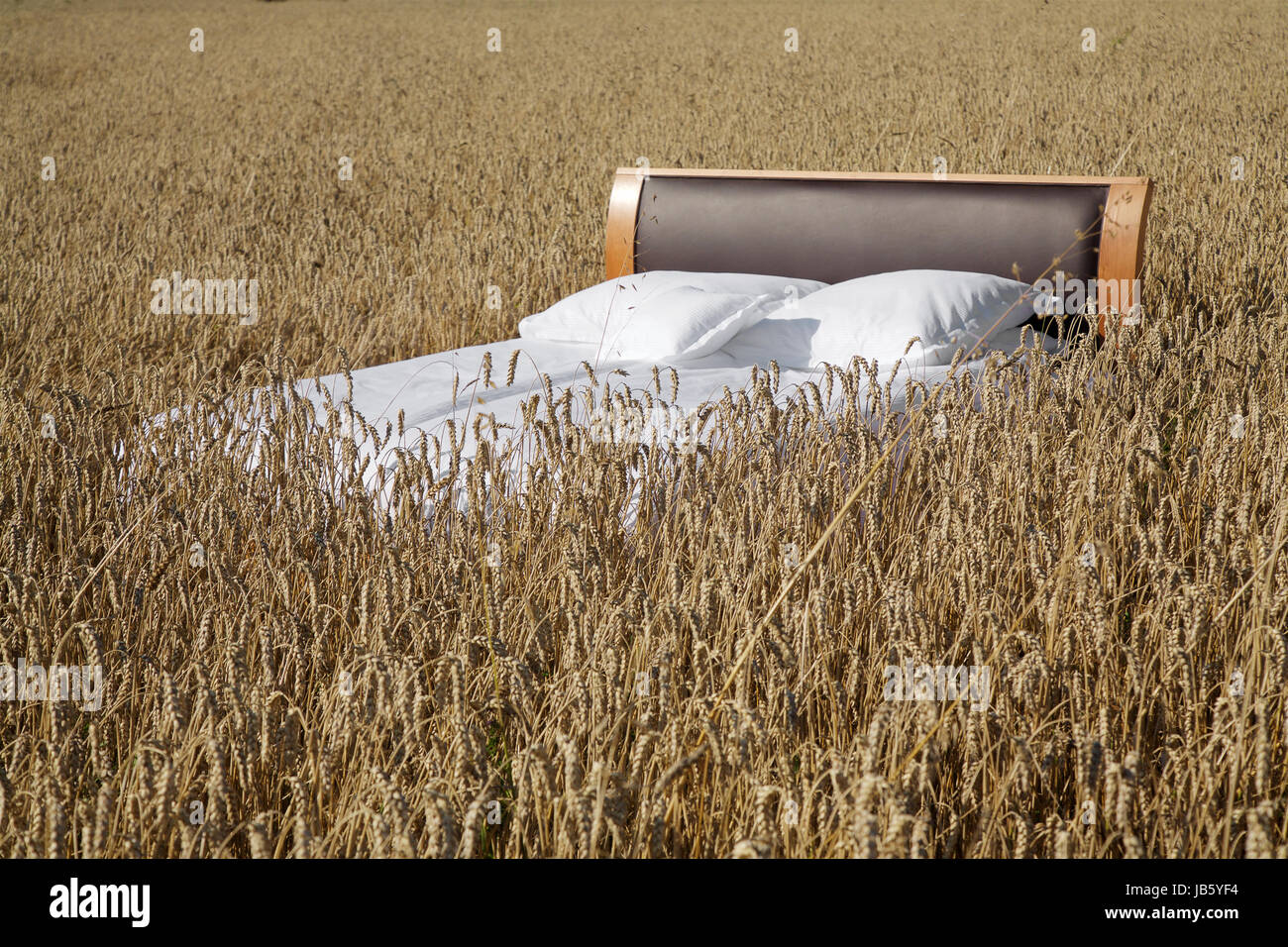 bed in a grain field- concept of good sleep Stock Photo - Alamy