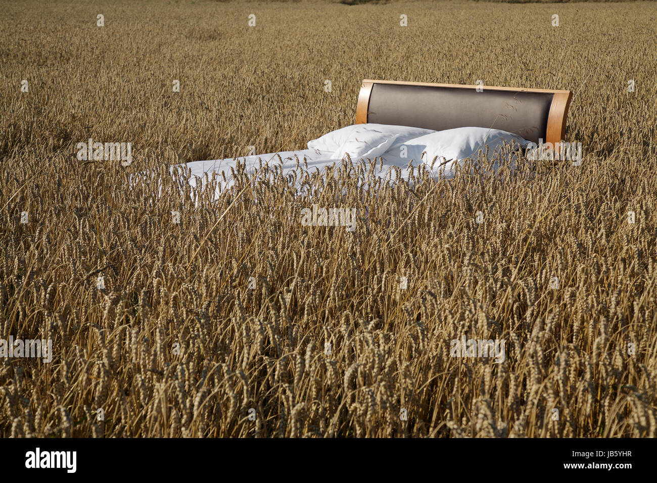bed in a grain field- concept of good sleep Stock Photo - Alamy
