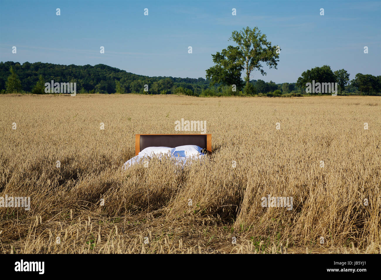 bed in a grain field- concept of good sleep Stock Photo - Alamy