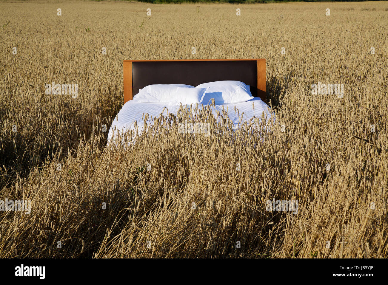 bed in a grain field- concept of good sleep Stock Photo - Alamy