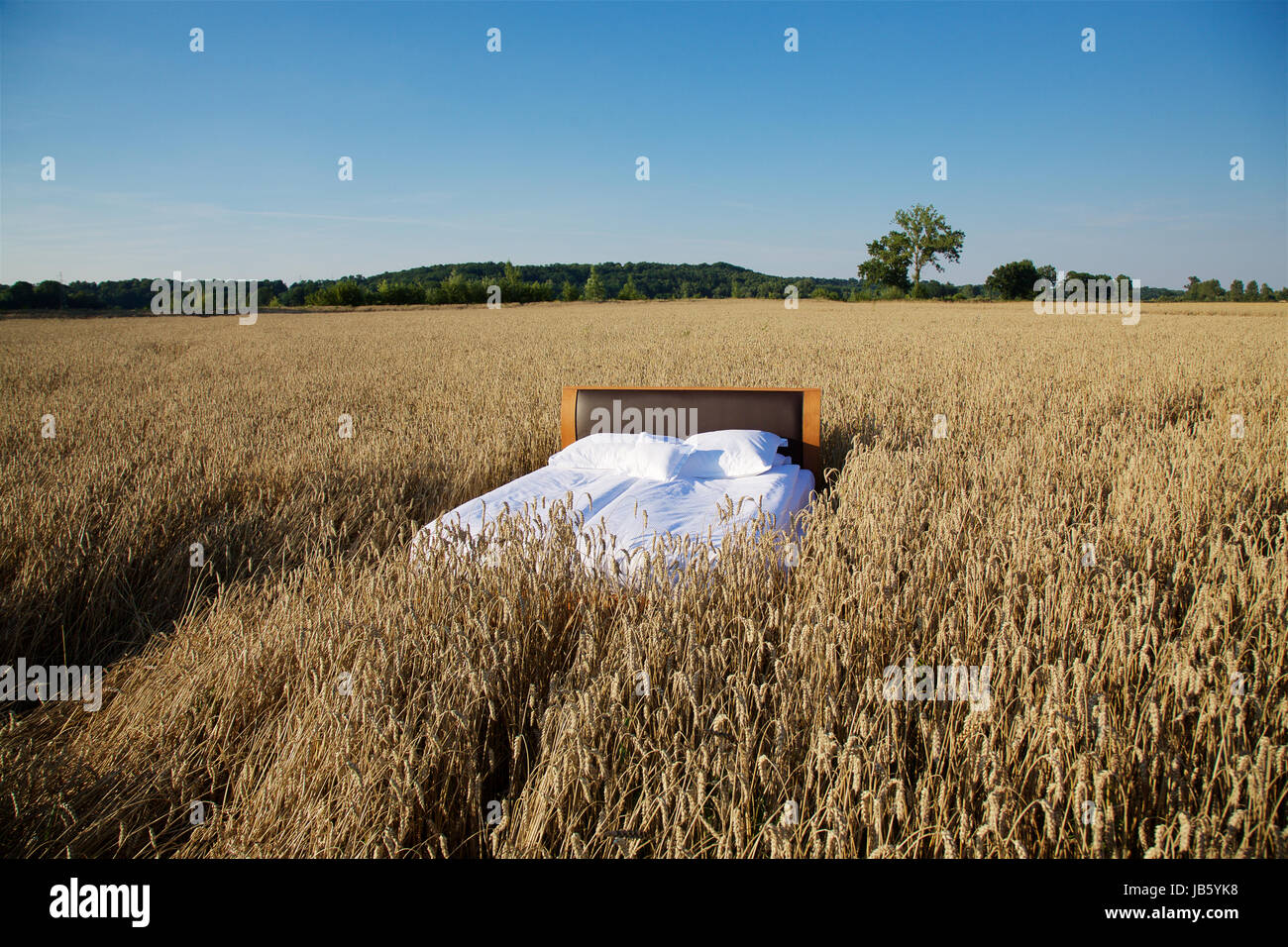 bed in a grain field- concept of good sleep Stock Photo - Alamy
