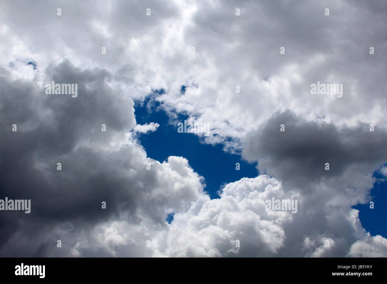 The lake and the landscape of the park on a mostly cloudy day Stock ...