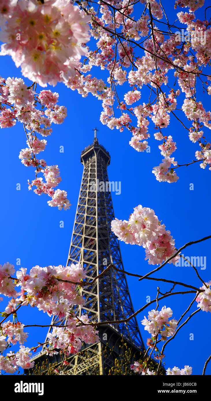Eiffel Tower in spring time, Paris, France Stock Photo - Alamy