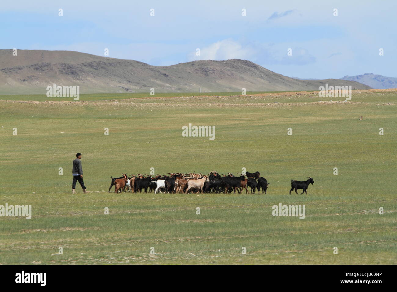 Schafhirte High Resolution Stock Photography and Images - Alamy