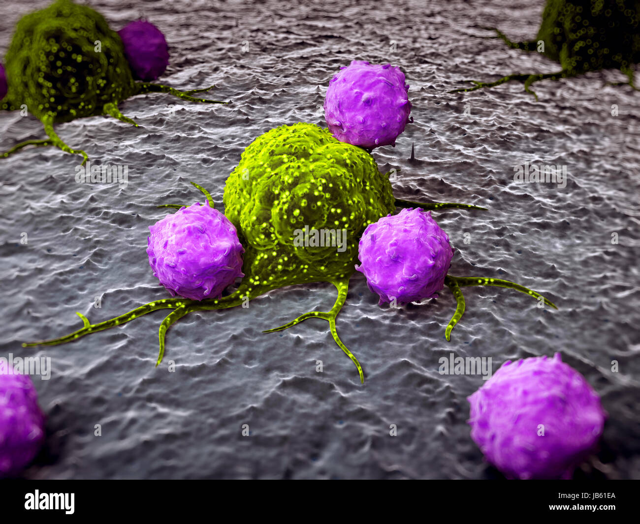 Attacking Cancer Cell High Resolution Stock Photography and Images - Alamy