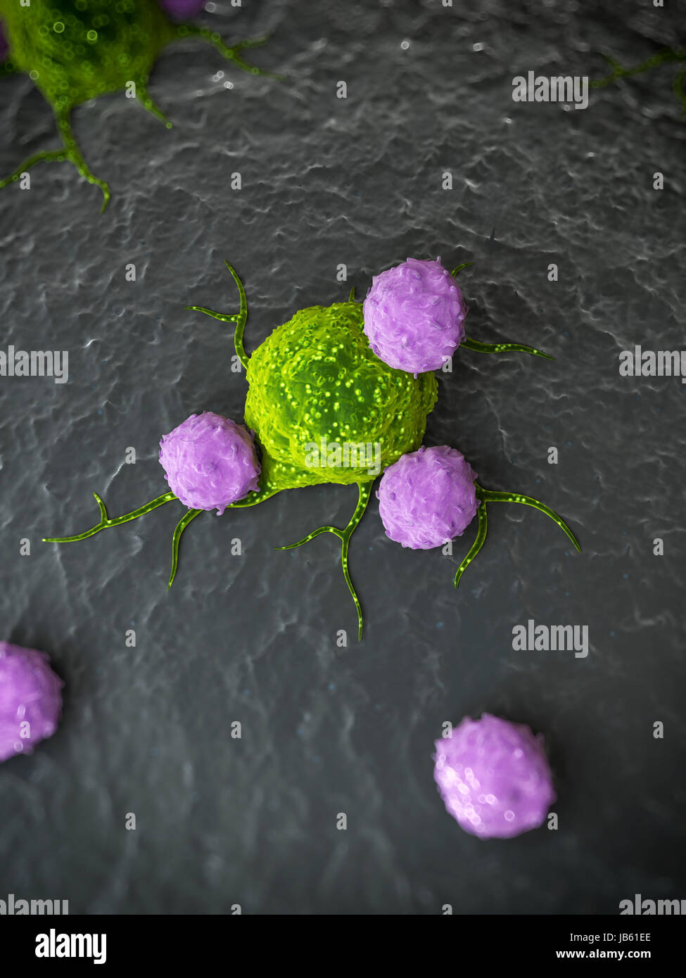 Immune System Attacking Cancer Cells High Resolution Stock Photography ...