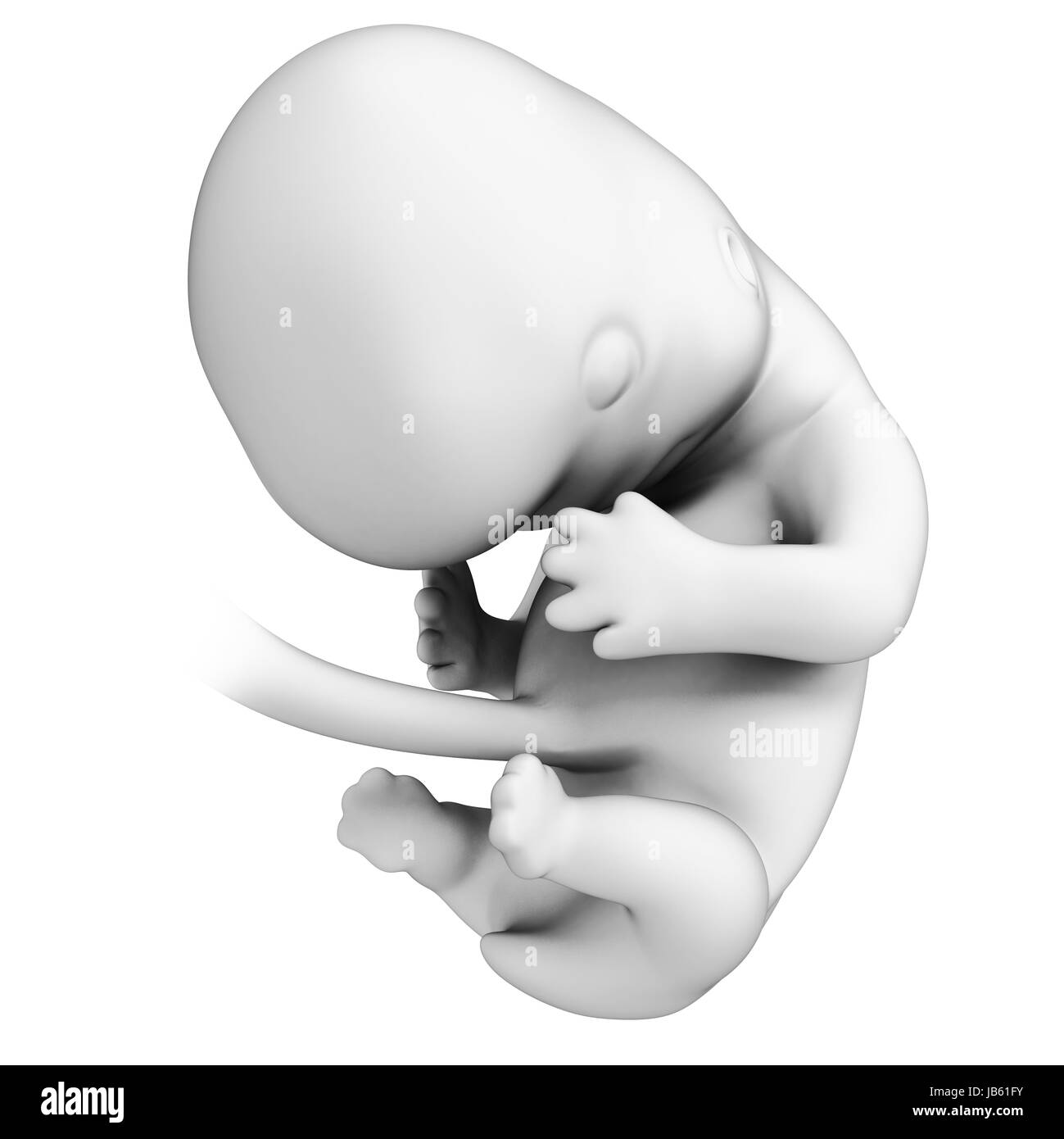 Fetal development 2 month Cut Out Stock Images & Pictures - Alamy