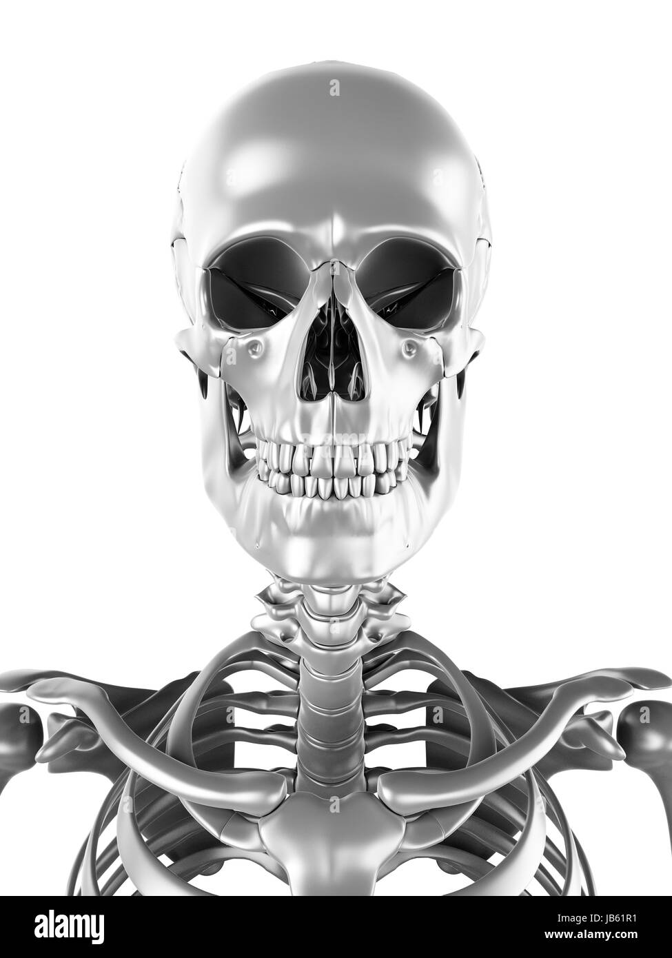 Physiology science skeletal skeleton Black and White Stock Photos ...