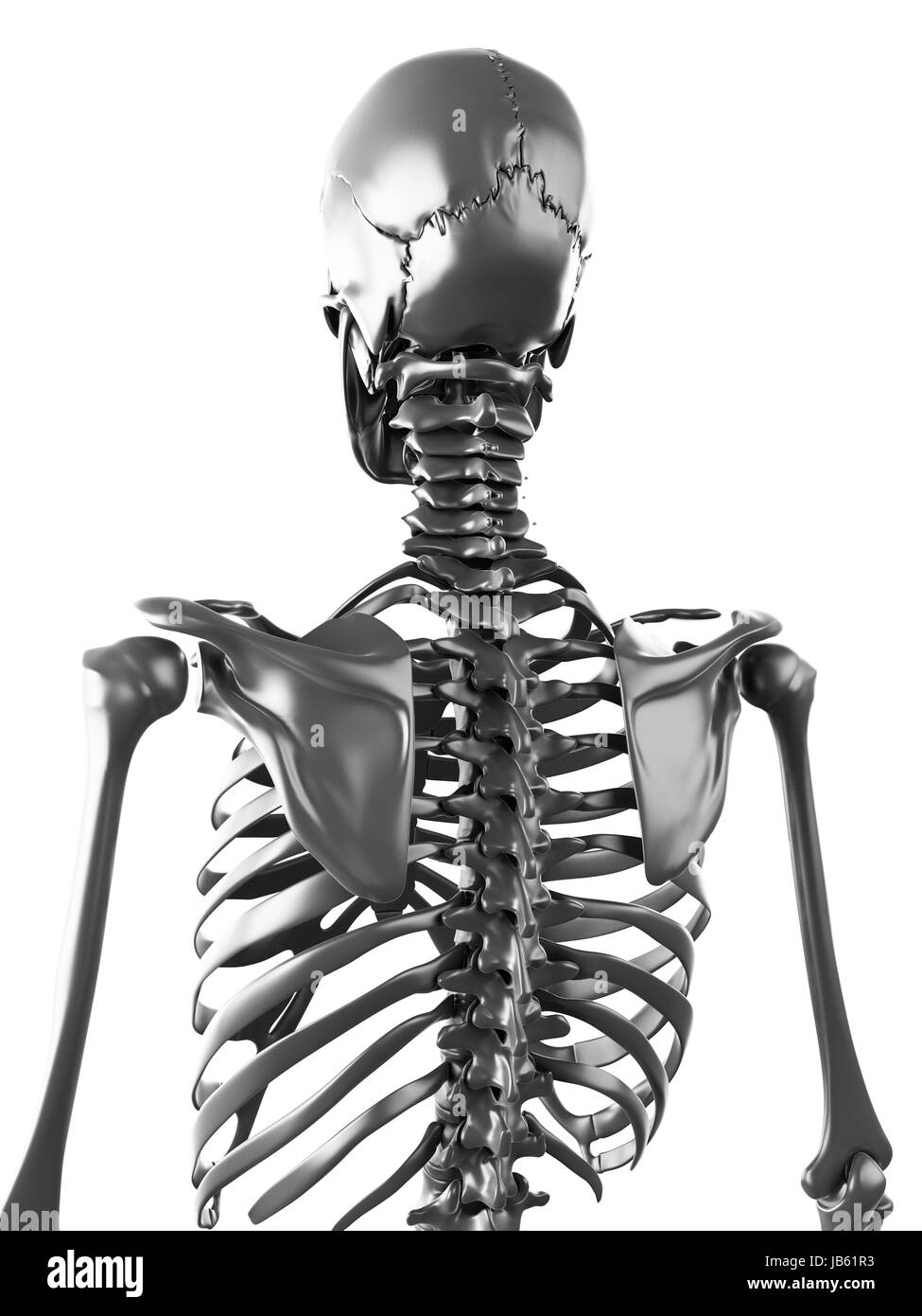 3d rendered illustration of a metal skeleton Stock Photo - Alamy