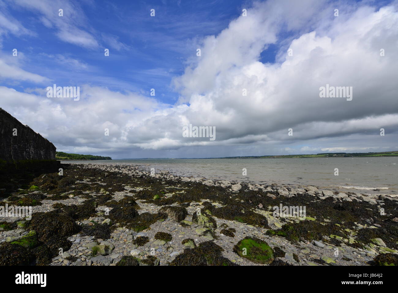The estuary of the River Shannon on the approach to Foynes harbour ...