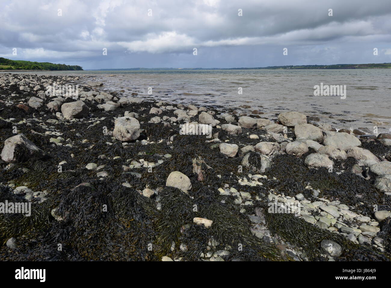 The estuary of the River Shannon on the approach to Foynes harbour ...