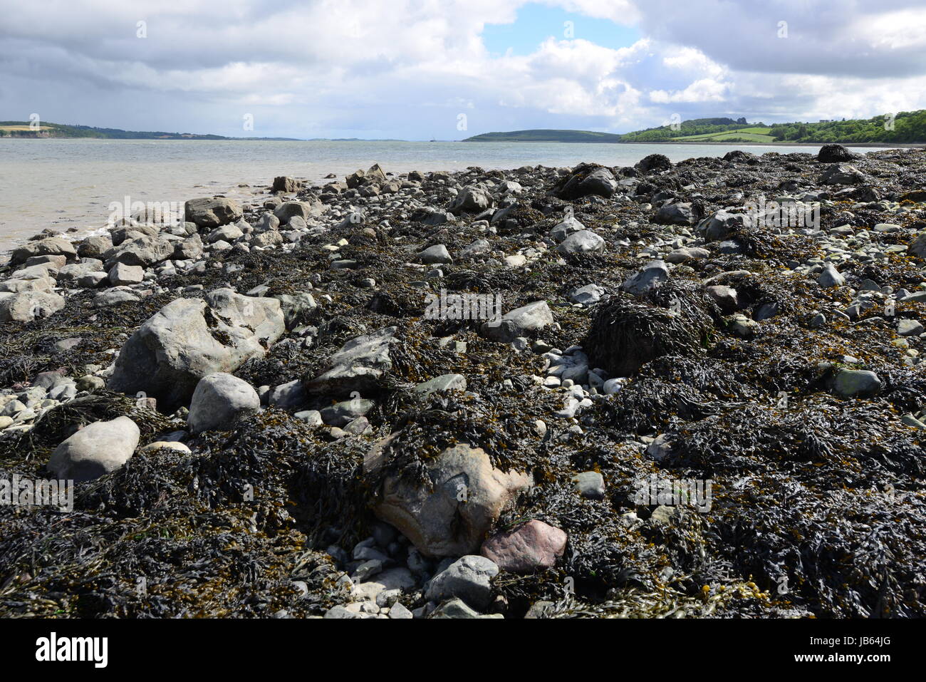 Seaplane Approach High Resolution Stock Photography and Images - Alamy