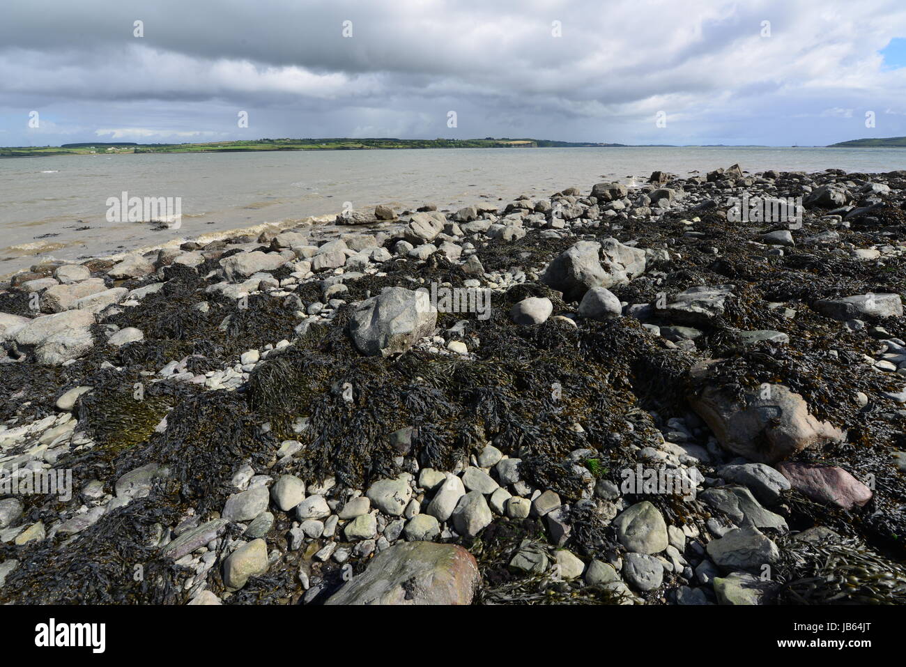 The estuary of the River Shannon on the approach to Foynes harbour ...
