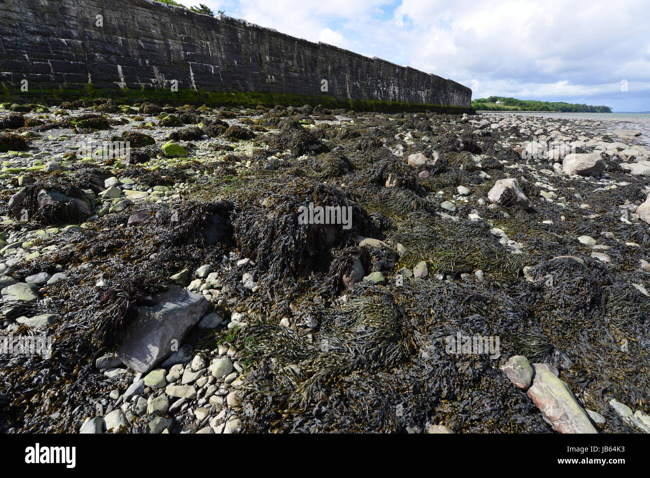 The estuary of the River Shannon on the approach to Foynes harbour ...