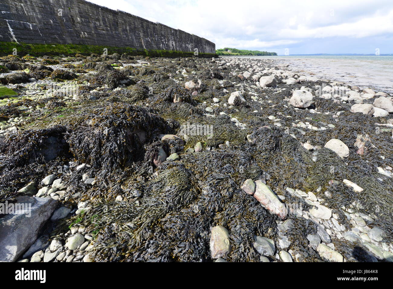 The estuary of the River Shannon on the approach to Foynes harbour ...