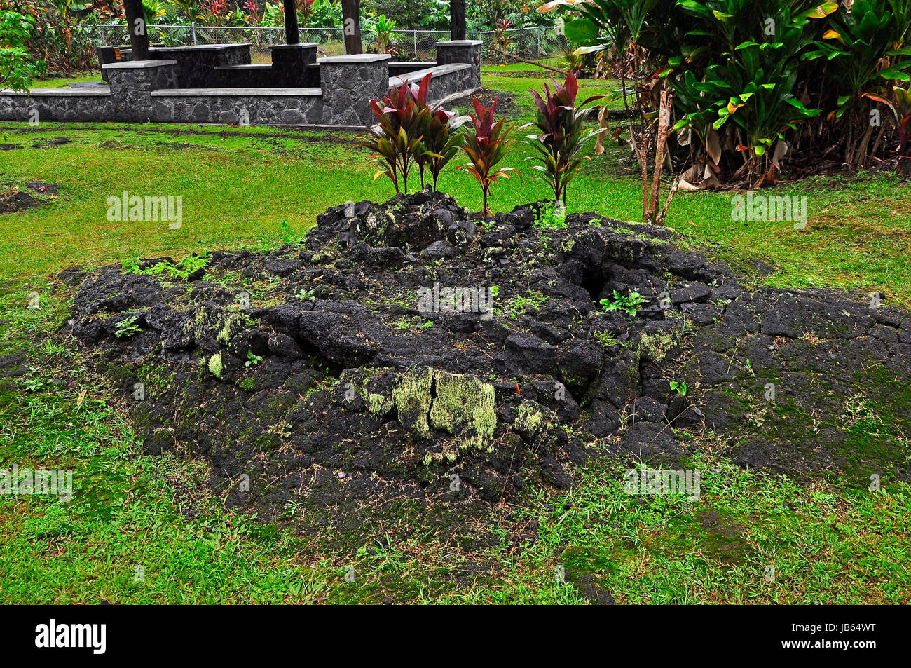 Lava and tree hi-res stock photography and images - Alamy