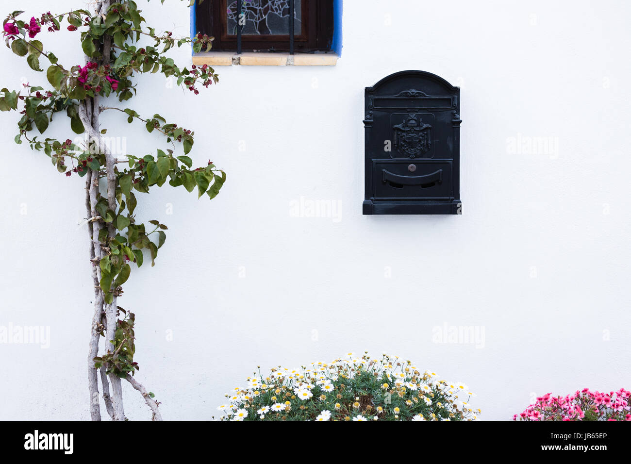 Dark blue mailbox against a pure white wall decorated with plants and ...