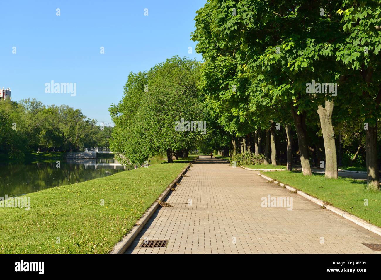 Alley of Novodevichy Park in Moscow, Russia Stock Photo - Alamy