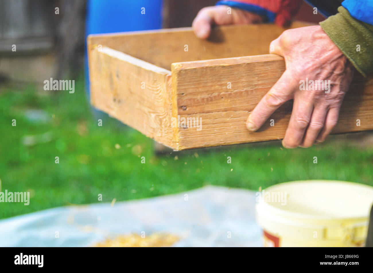 Hands of a working sieve with a grain of oats. Hands of the worker who ...