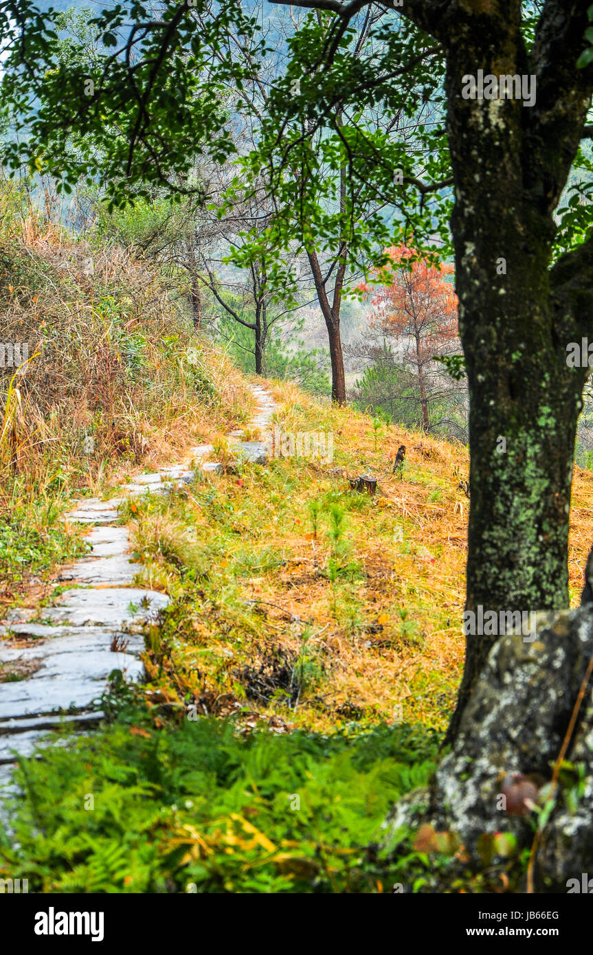 The hiking pathway scenery in the rural area Stock Photo - Alamy