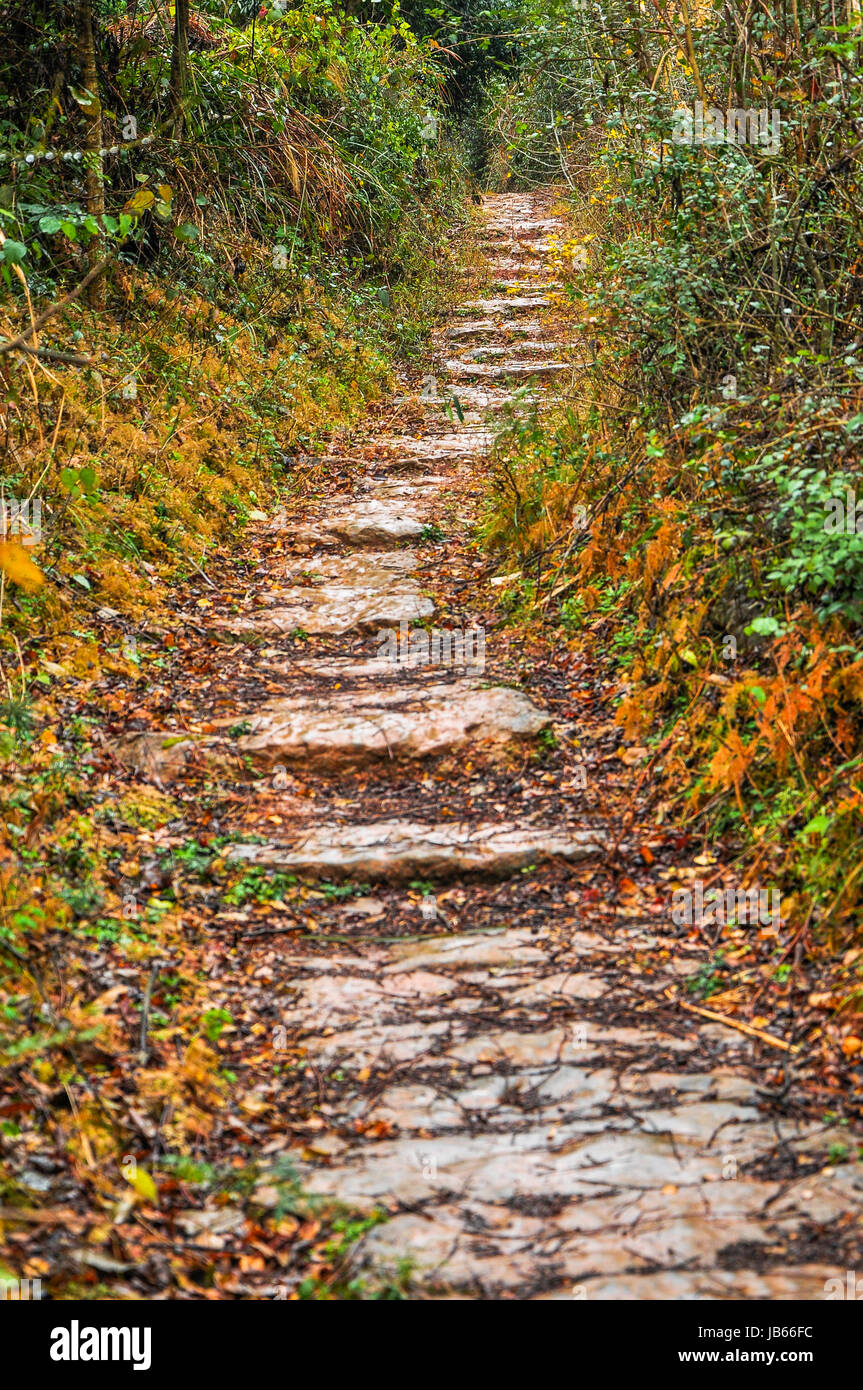 The hiking pathway scenery in the rural area Stock Photo - Alamy