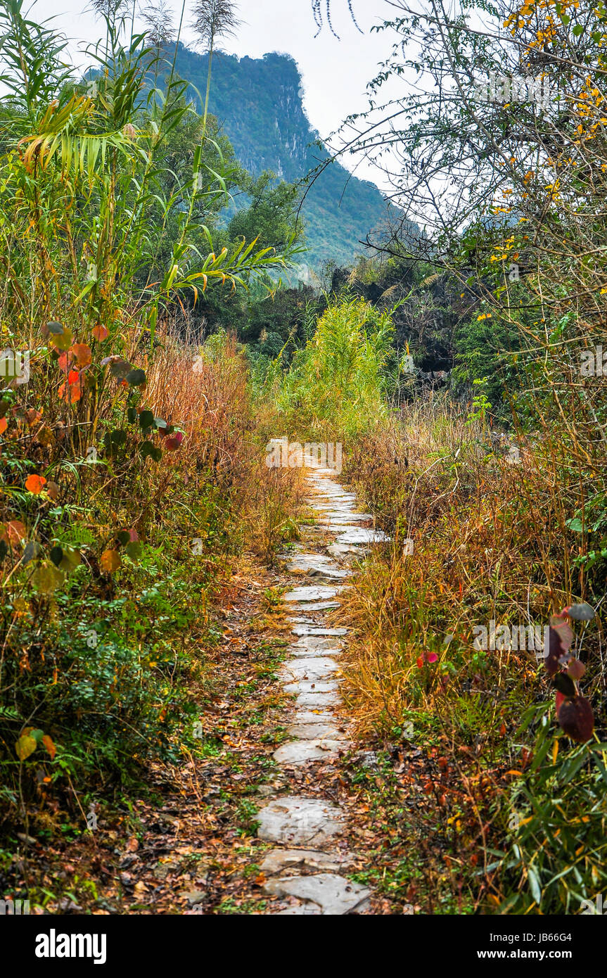 The hiking pathway scenery in the rural area Stock Photo - Alamy