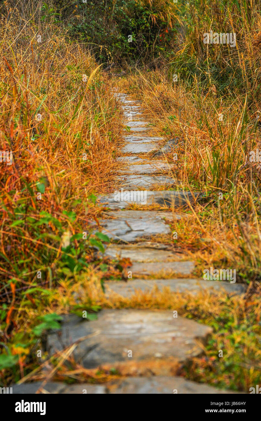 The hiking pathway scenery in the rural area Stock Photo - Alamy