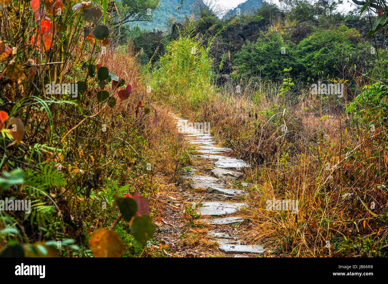 The hiking pathway scenery in the rural area Stock Photo - Alamy