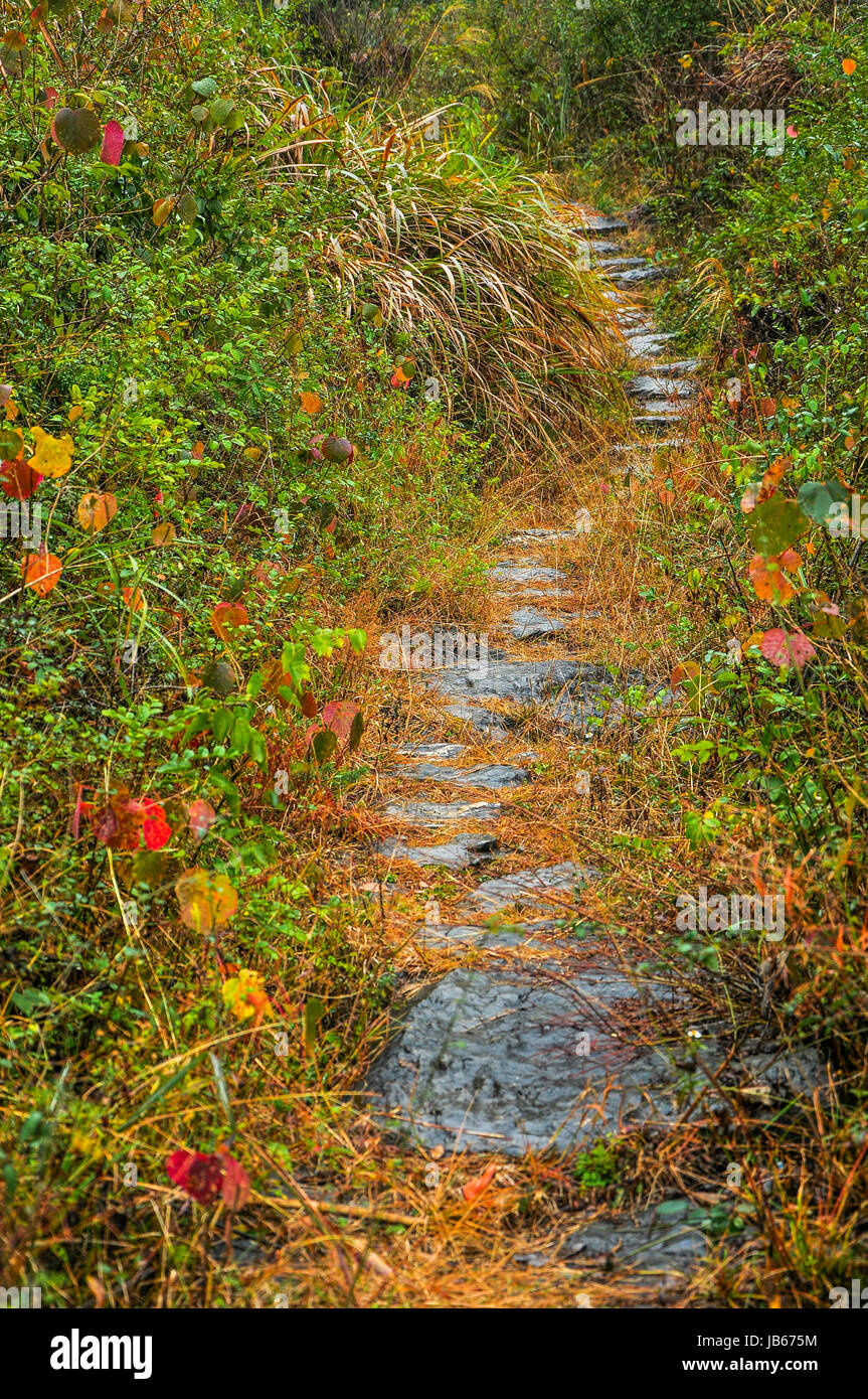 The hiking pathway scenery in the rural area Stock Photo - Alamy
