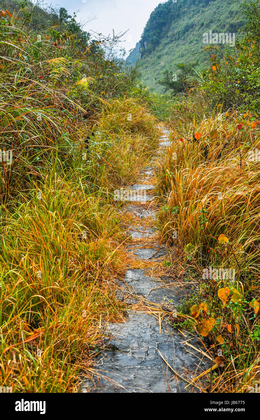 The hiking pathway scenery in the rural area Stock Photo - Alamy