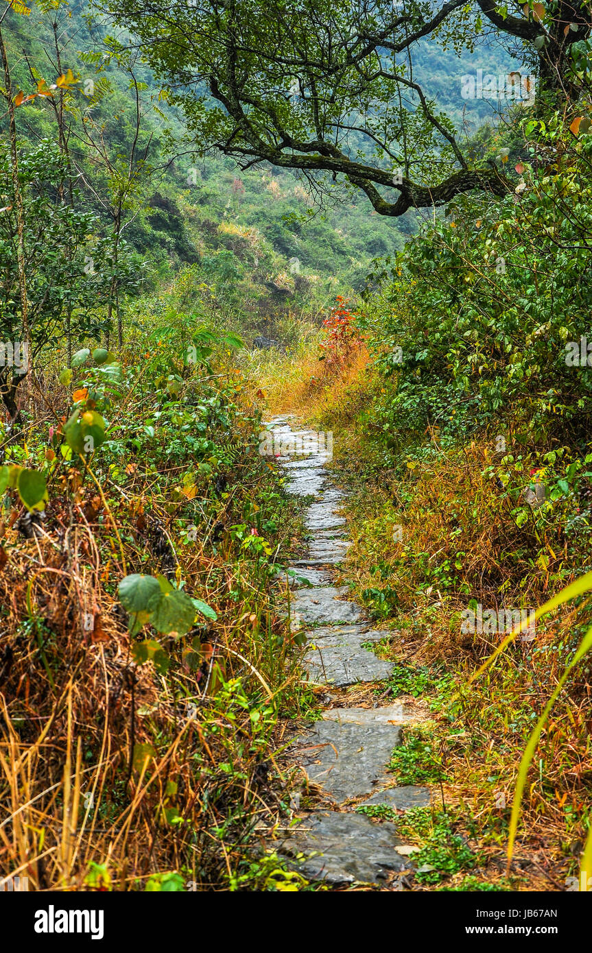 The hiking pathway scenery in the rural area Stock Photo - Alamy