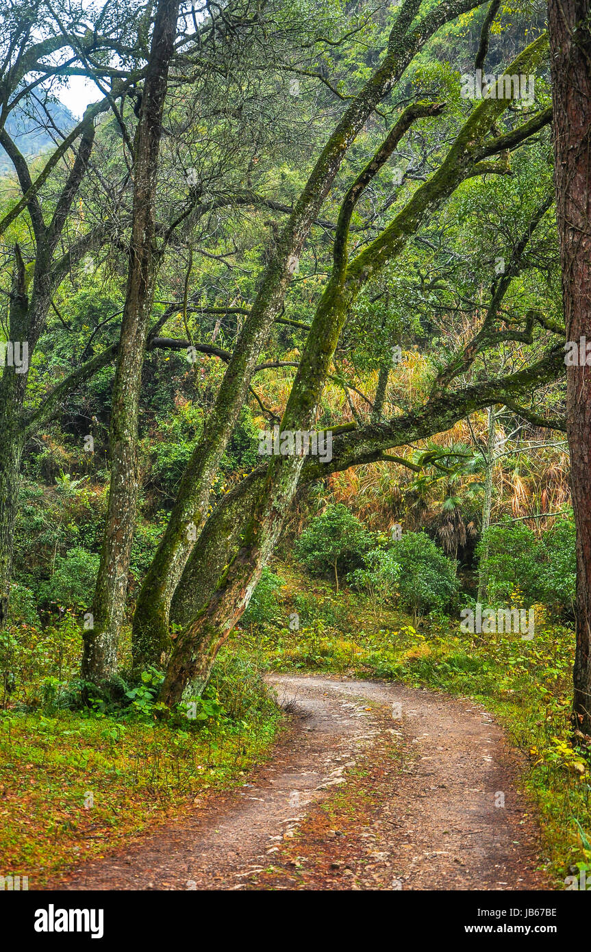 The hiking pathway scenery in the rural area Stock Photo - Alamy