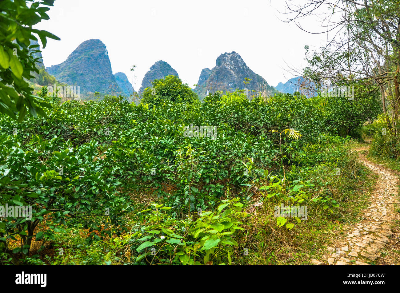 The hiking pathway scenery in the rural area Stock Photo - Alamy