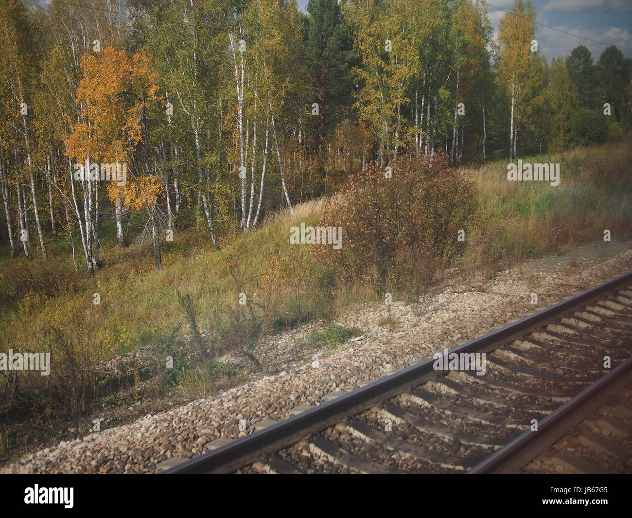The Trans-Siberian Railway in Siberia surrounded by the colourful trees ...