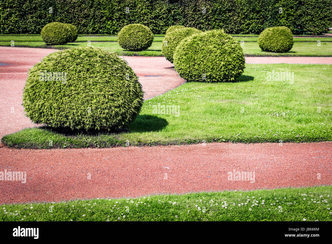 Beautifully manicured garden bushes Stock Photo - Alamy