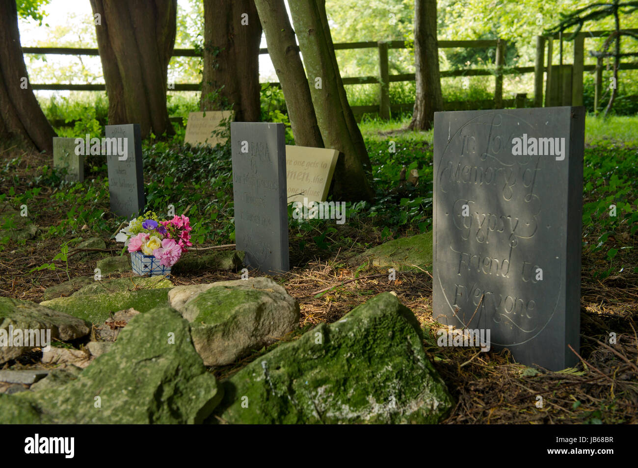 Jilly Cooper Dogs High Resolution Stock Photography and Images - Alamy
