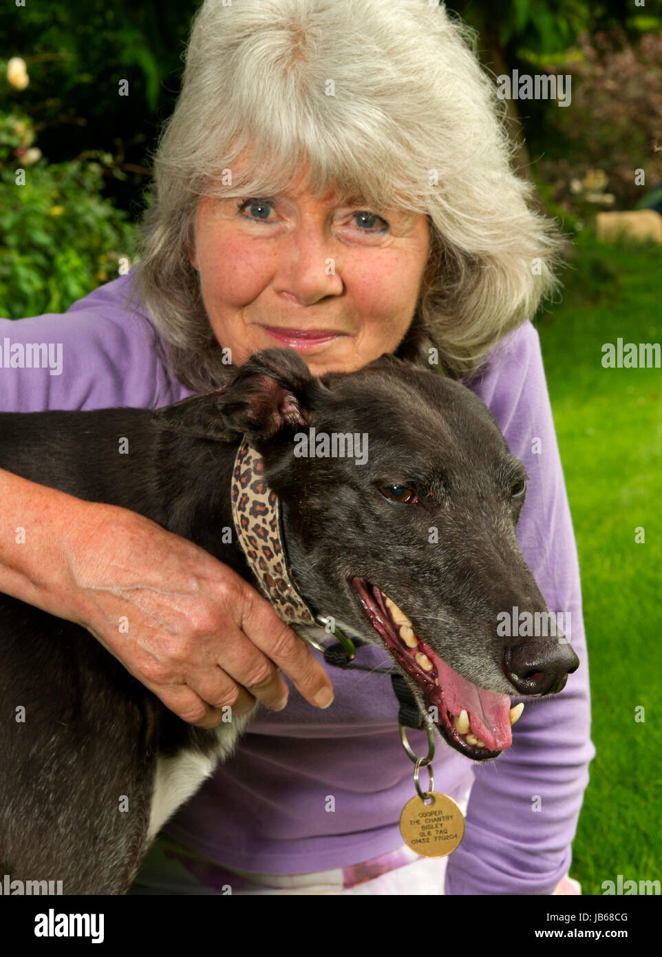 Dame Jilly Cooper at her home in Gloucestershire with greyhounds ...