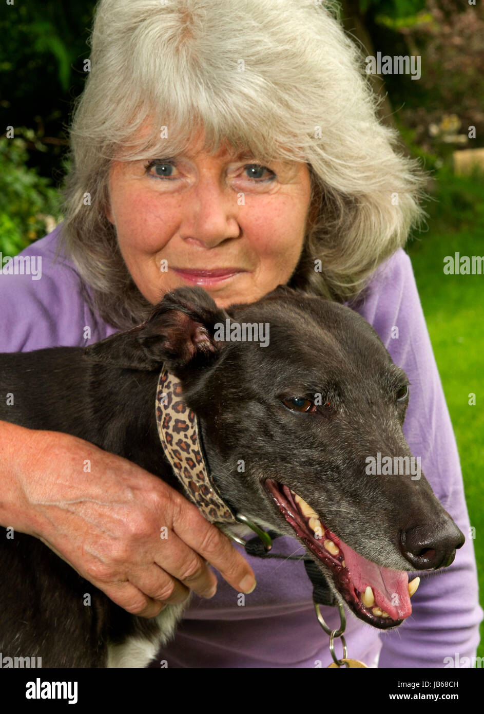 Dame Jilly Cooper at her home in Gloucestershire with greyhounds ...