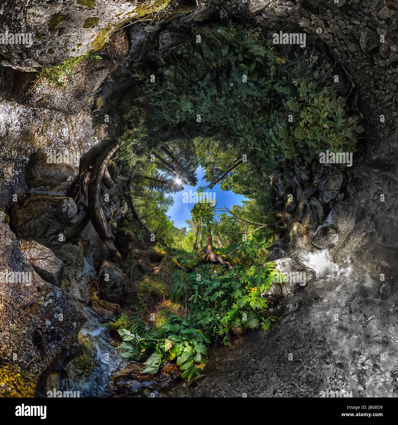 360 life hi-res stock photography and images - Alamy