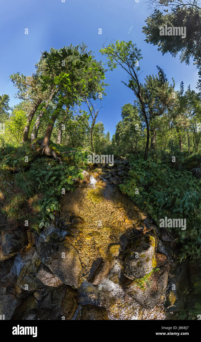 Polar distortion hi-res stock photography and images - Alamy