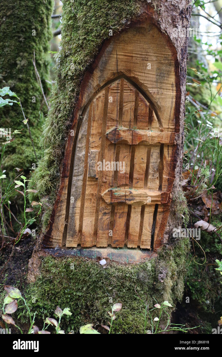 Small magical fairy tale door at base of tree trunkab Stock Photo - Alamy