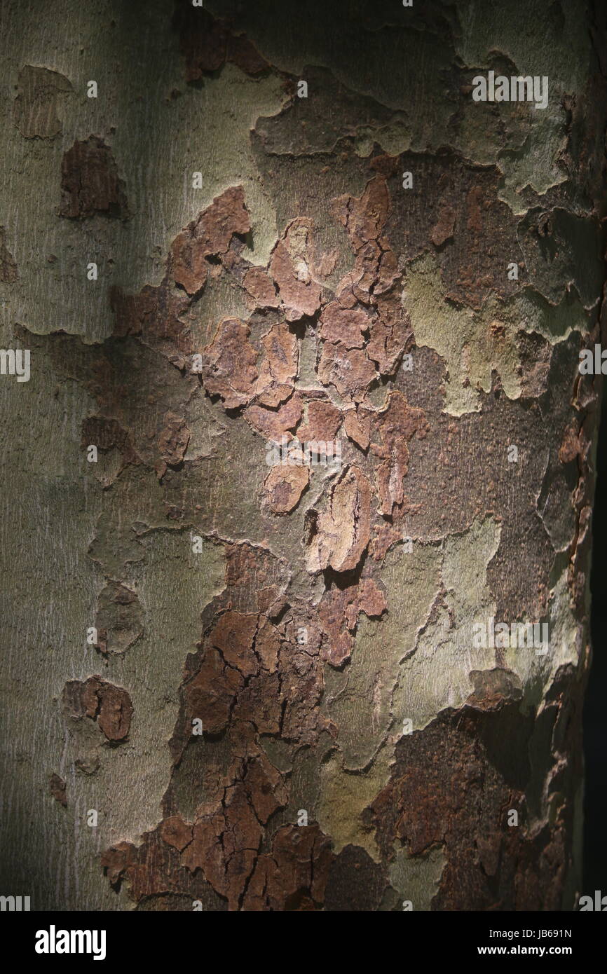 Close up textures hi-res stock photography and images - Alamy