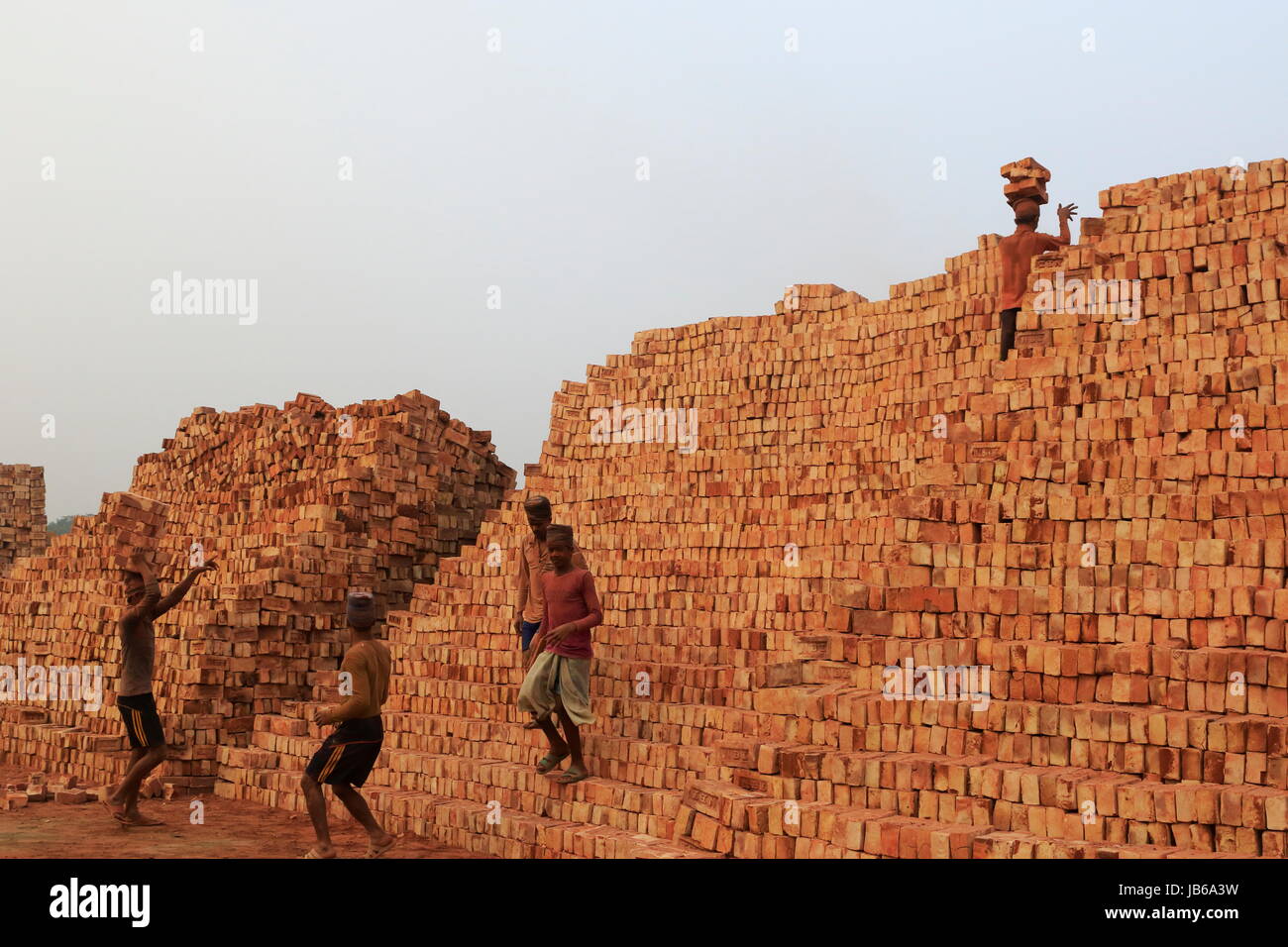 Brickfield hi-res stock photography and images - Alamy