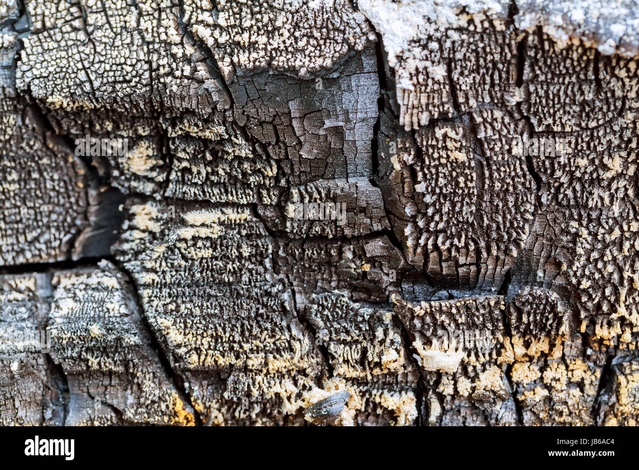 The scorched wooden background. old burnt wooden board Stock Photo - Alamy
