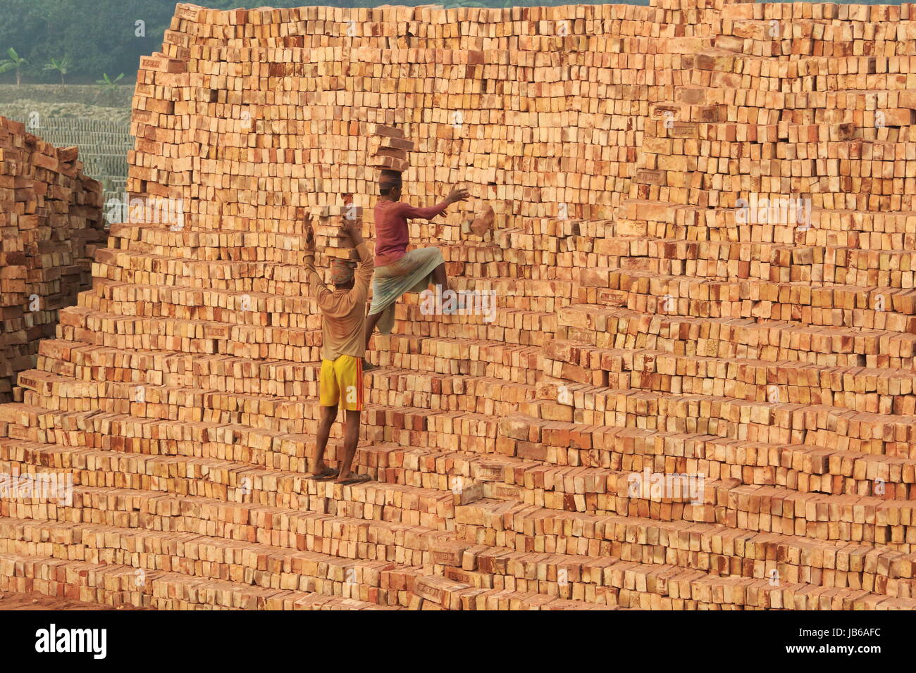 Laborer work at brickfield at Khulna, Bangladesh Stock Photo - Alamy
