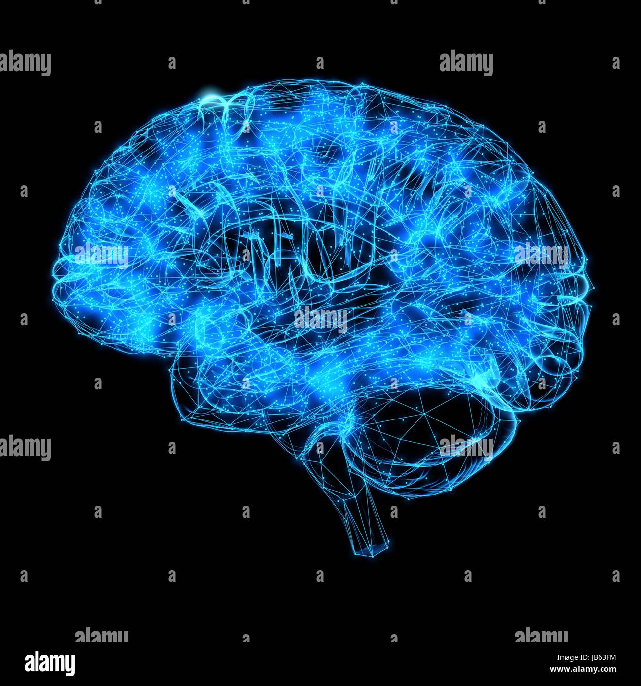 Human brain, computer illustration Stock Photo - Alamy
