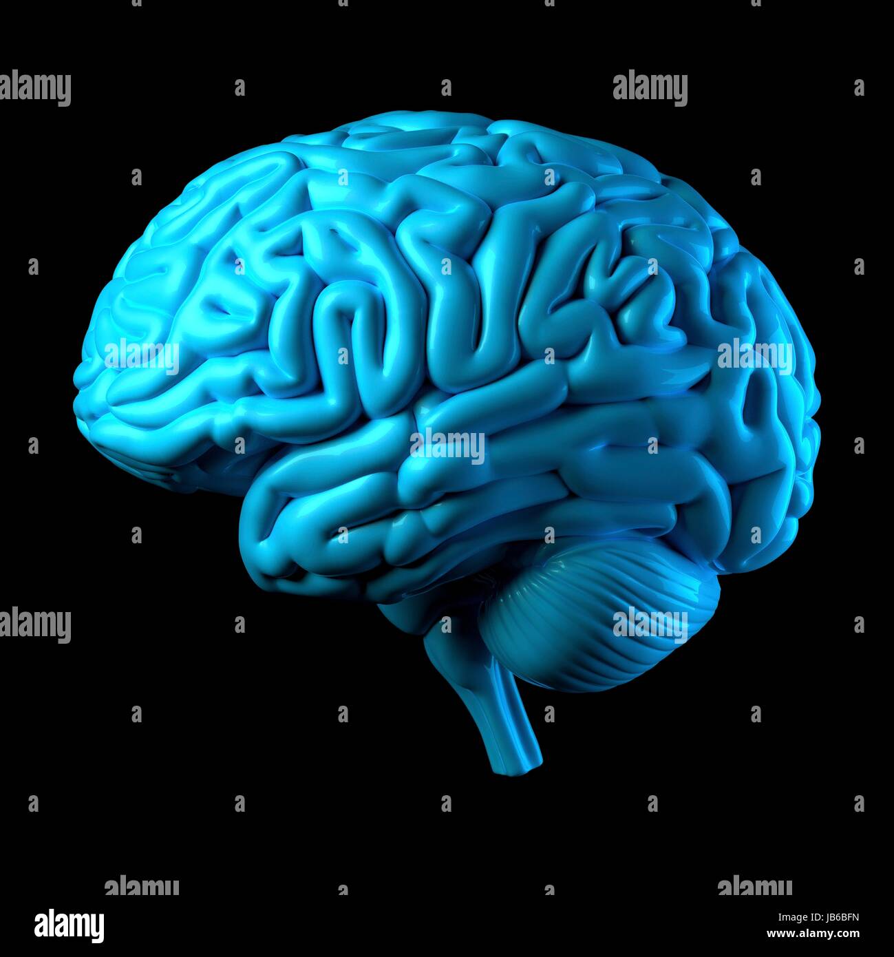 Human brain, computer illustration Stock Photo - Alamy