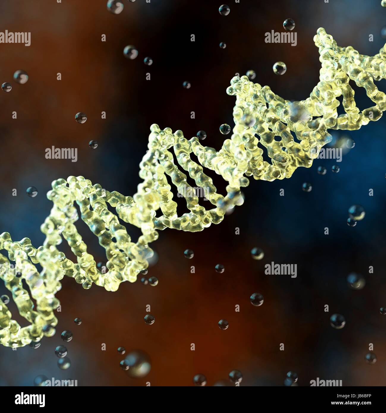 DNA (deoxyribonucleic acid) molecule, computer illustration Stock Photo ...