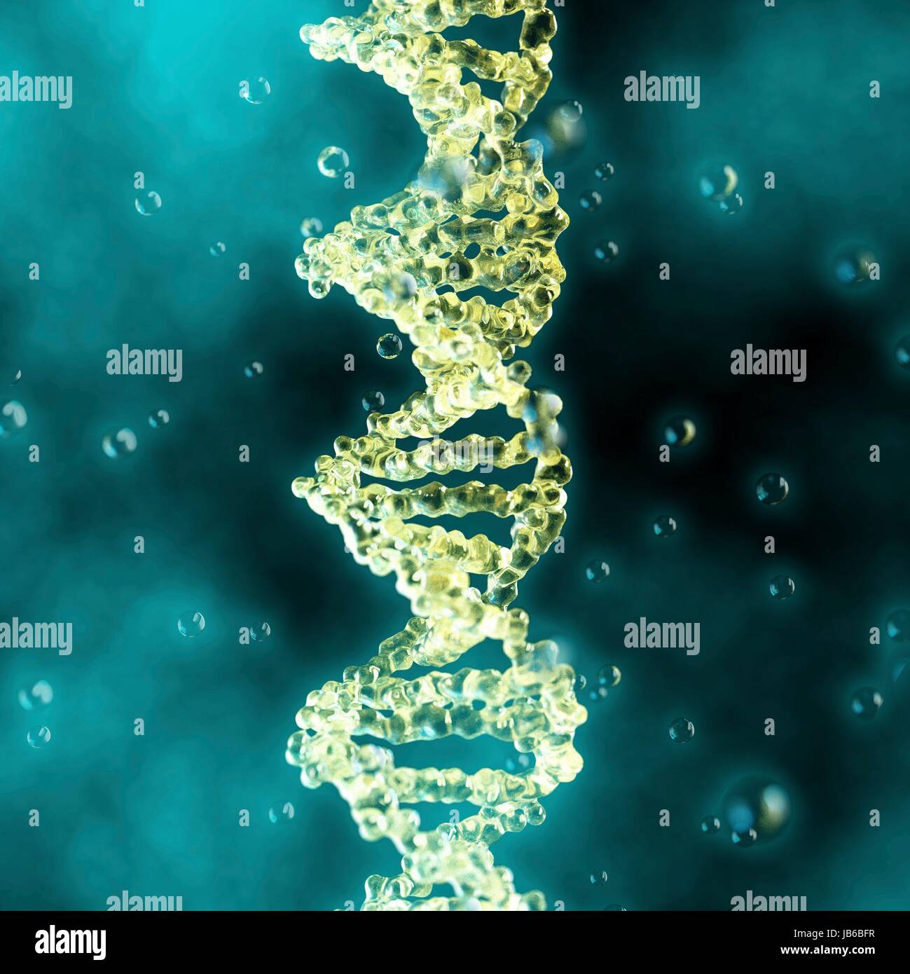 DNA (deoxyribonucleic acid) molecule, computer illustration Stock Photo ...