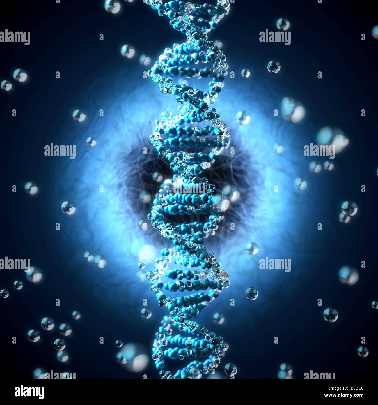 DNA (deoxyribonucleic acid) molecule, computer illustration Stock Photo ...